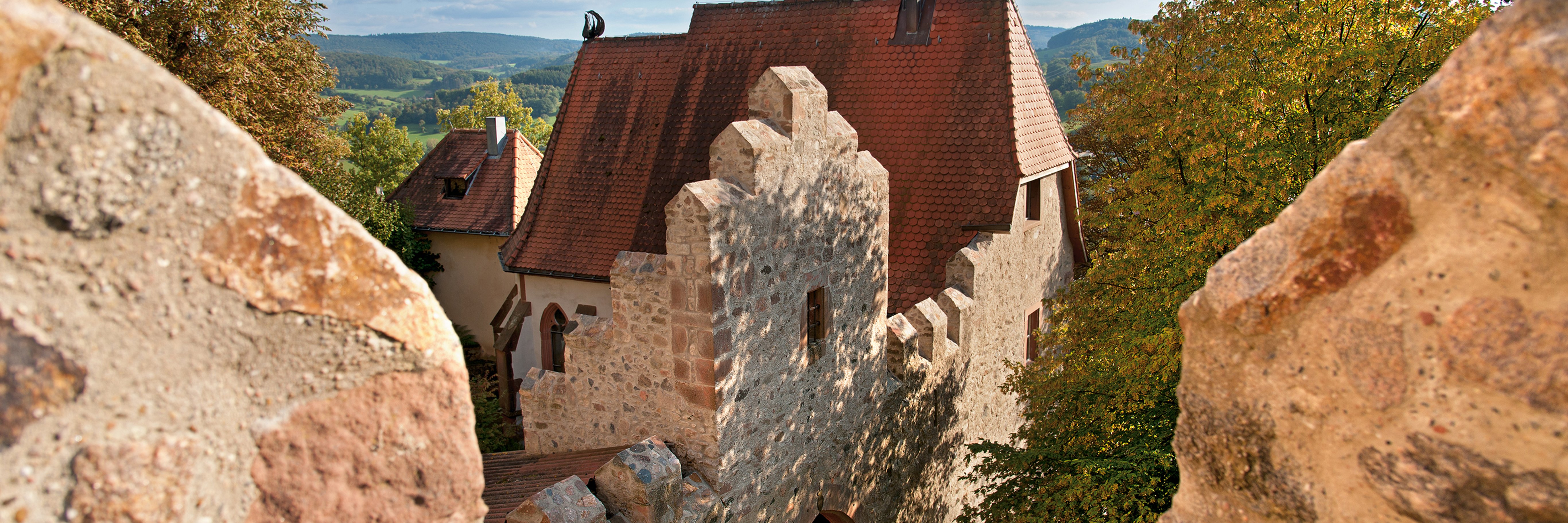 Schloss Reichenberg | Reichelsheim (Odenwald)