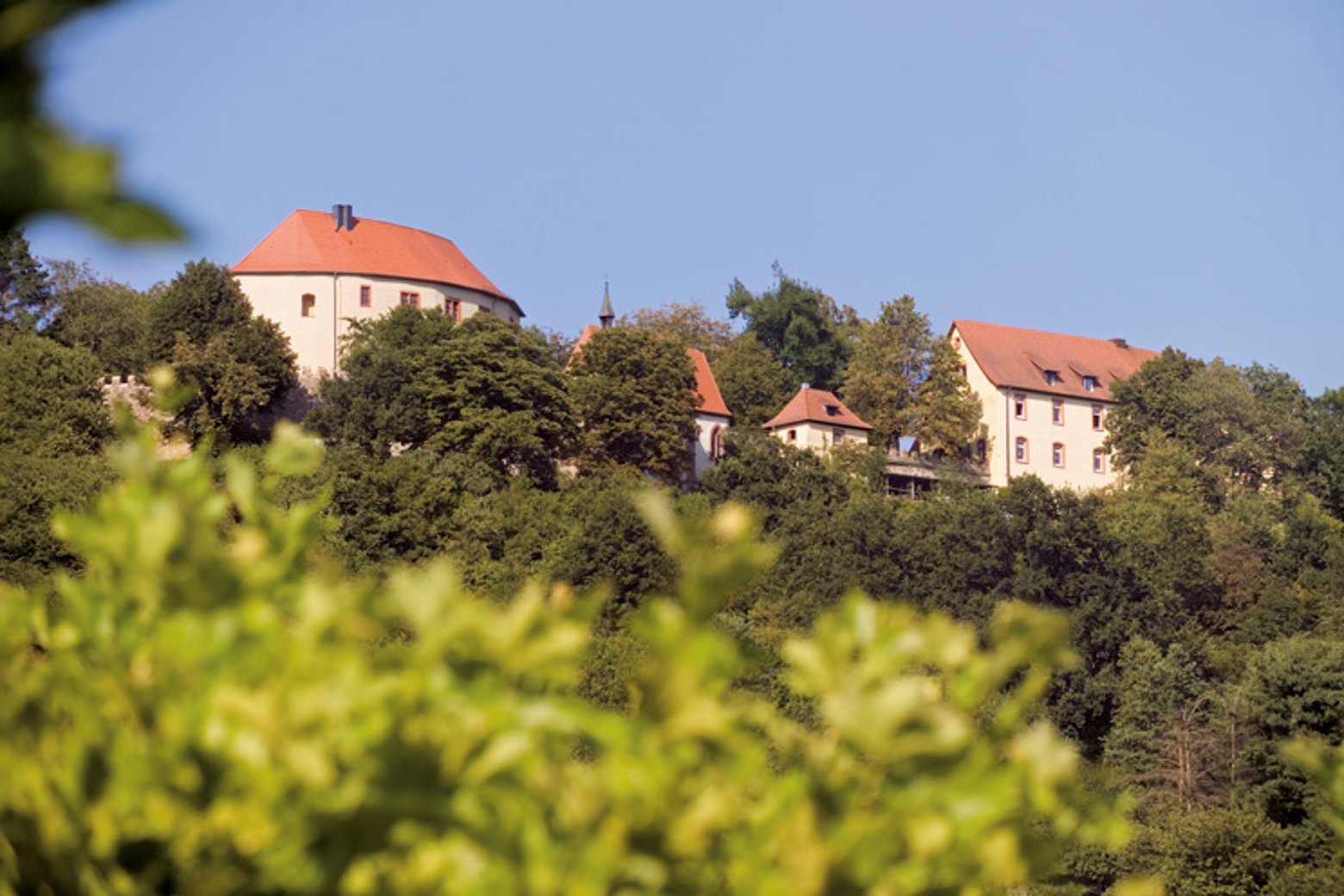 Schloss Reichenberg | Reichelsheim (Odenwald)