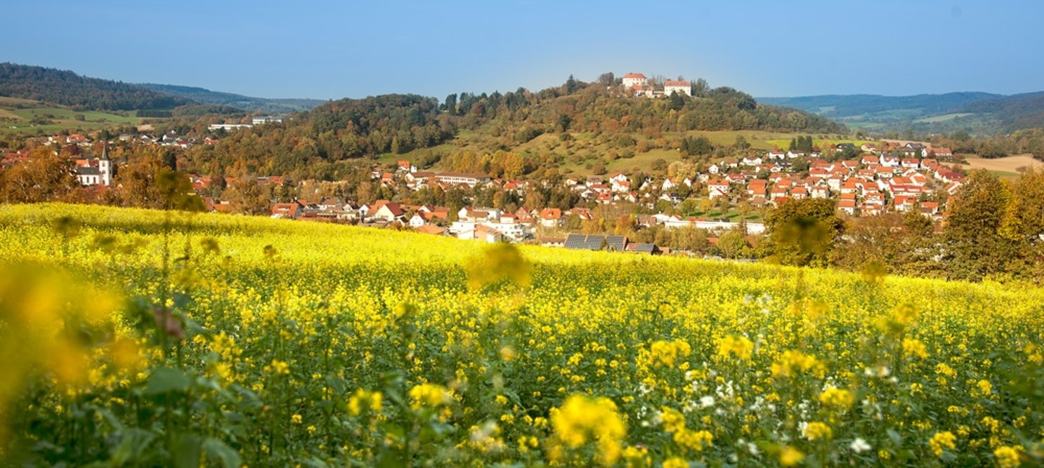 Schloss Reichenberg | Reichelsheim (Odenwald)